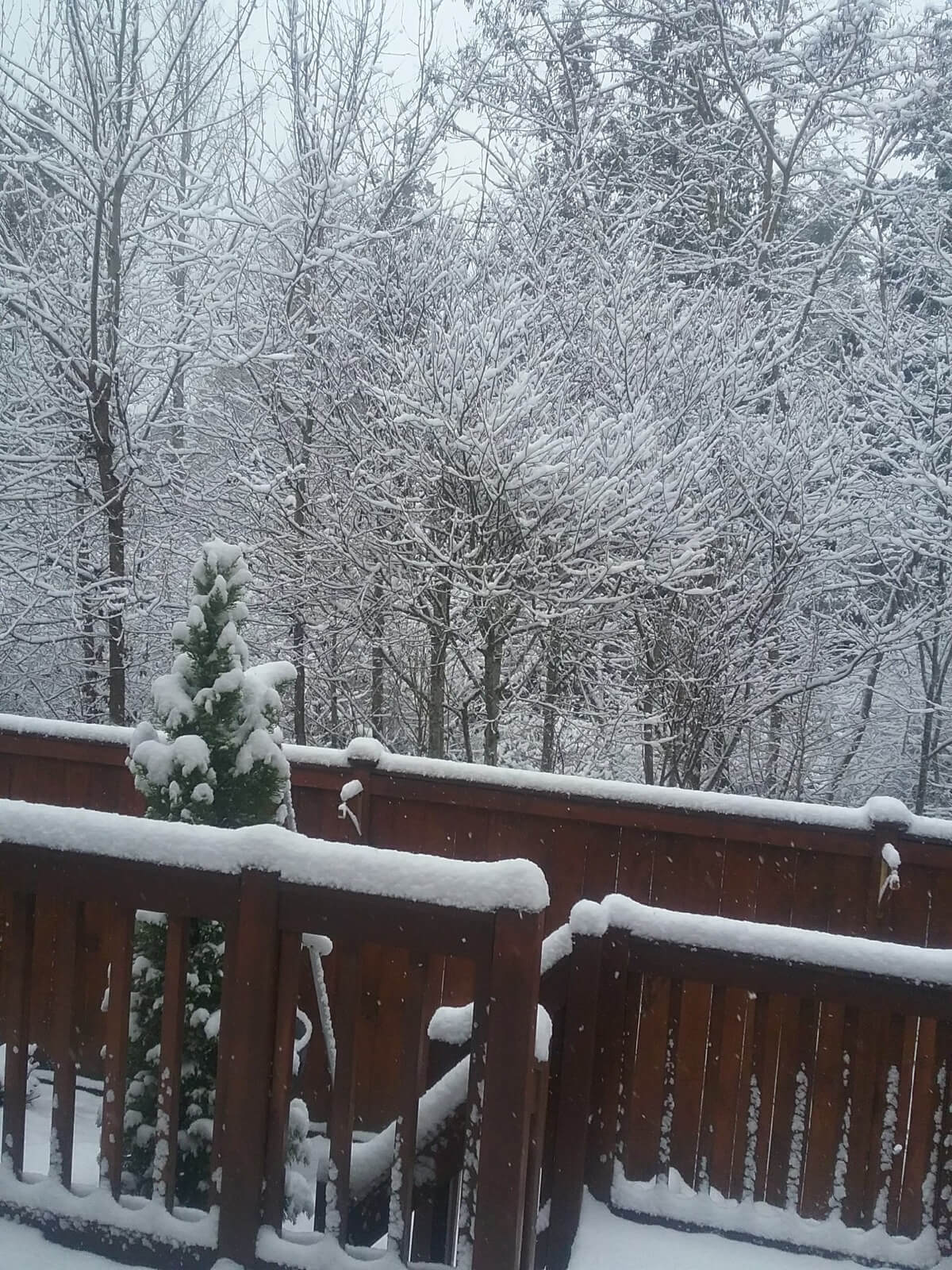 Ahh, snow days….. - Lind Pest Control & Inspection Services, Inc.